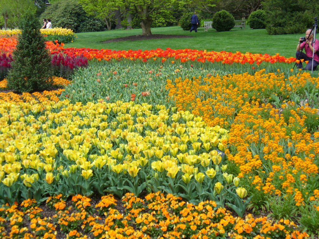 A Fresh Spring Mix | Longwood Gardens
