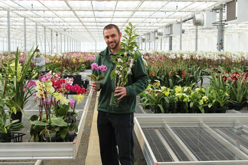 A Year in the Life of our Orchid Grower | Longwood Gardens