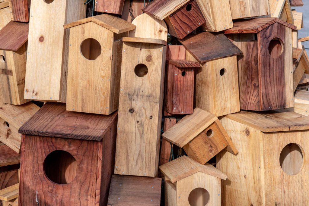 The Wildlife Tree … Reimagined | Longwood Gardens