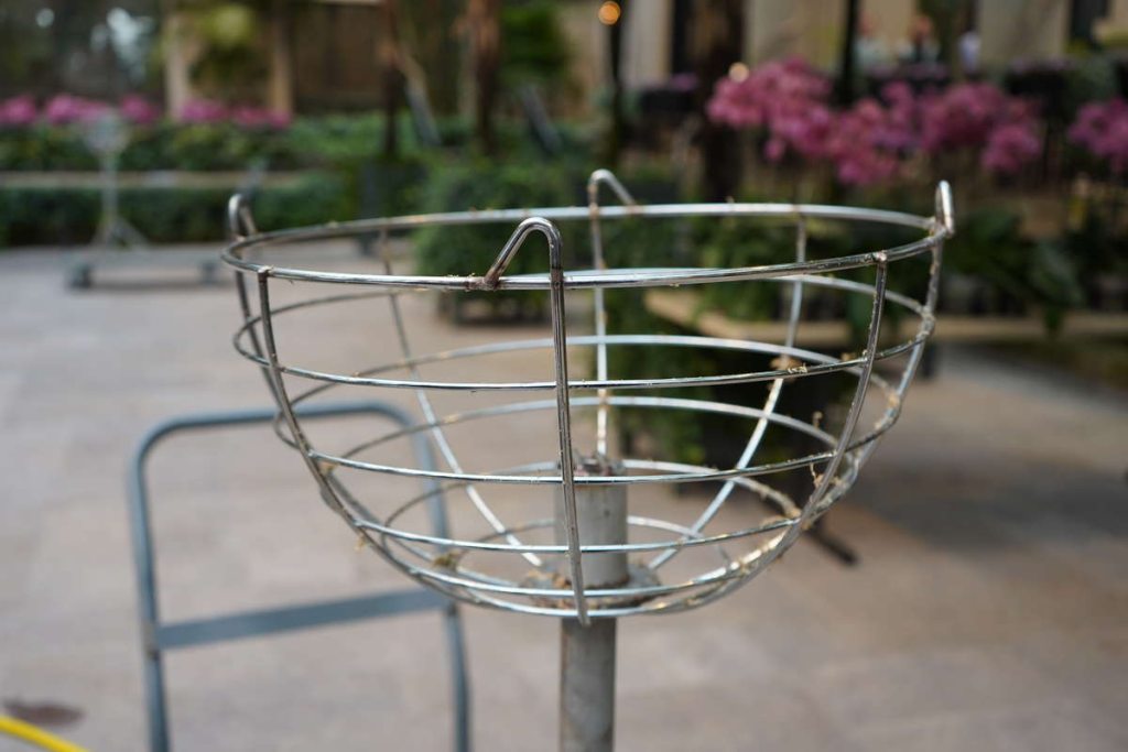 Crafting an Orchid Orb, Floating on Air | Longwood Gardens