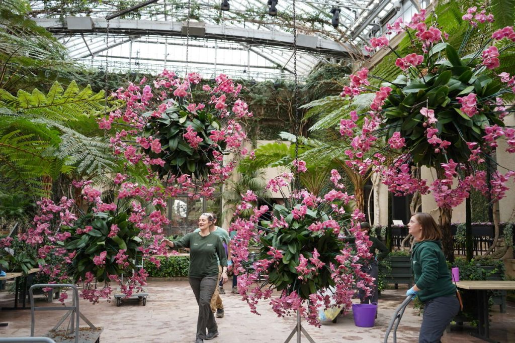 Crafting an Orchid Orb, Floating on Air | Longwood Gardens