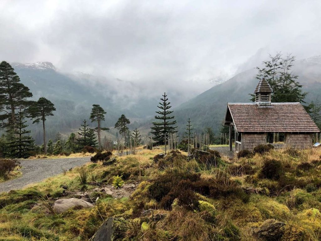 Our Fellows Reflect | Longwood Gardens