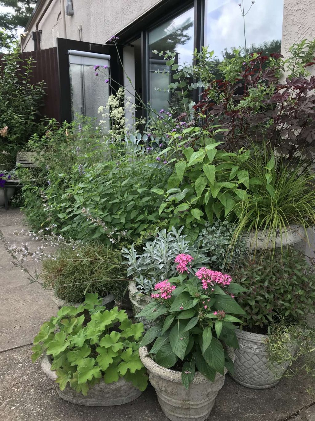 Lessons from the Studio Garden | Longwood Gardens