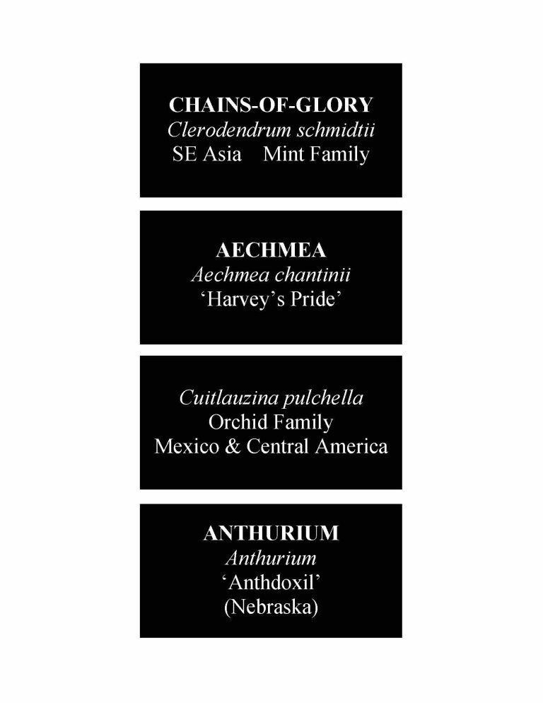 Understanding Our Plant Labels | Longwood Gardens