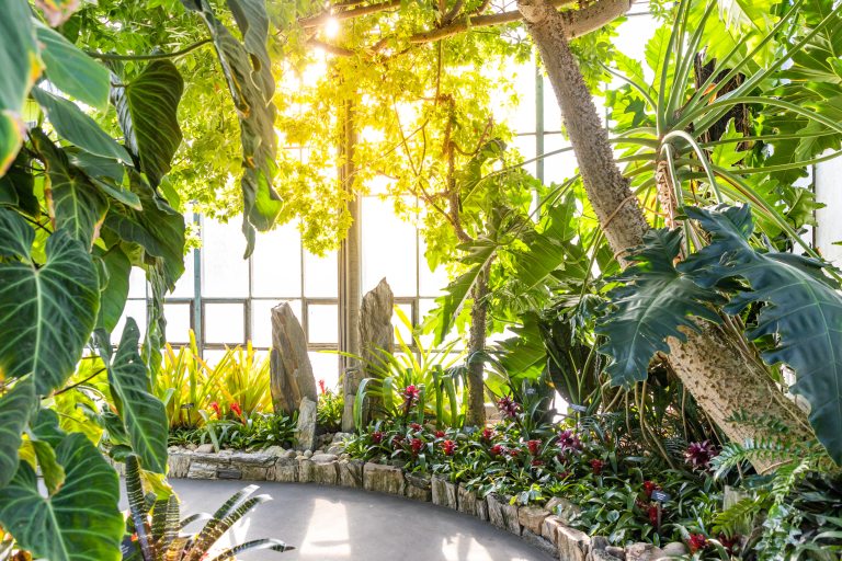 Stone by Stone and Plant by Plant: Reimagining the Cascade Garden ...