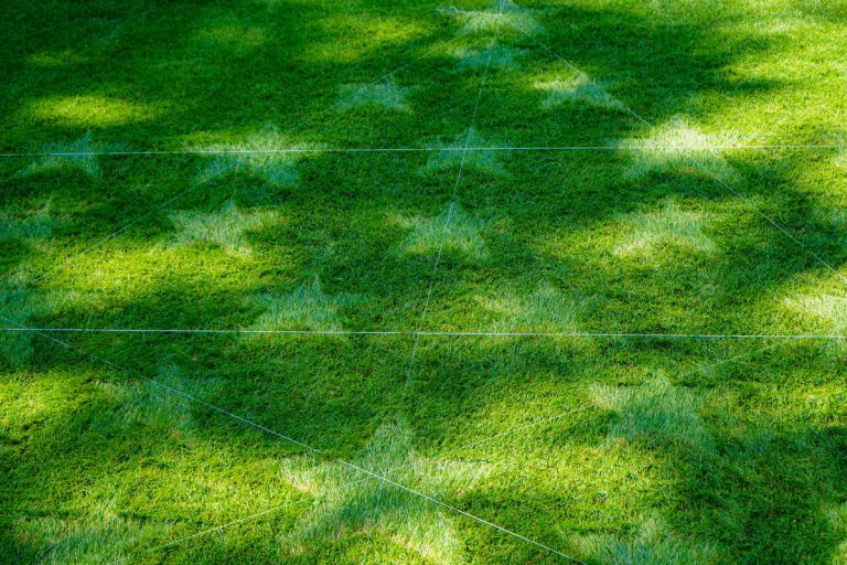 Bent into Shape | Longwood Gardens