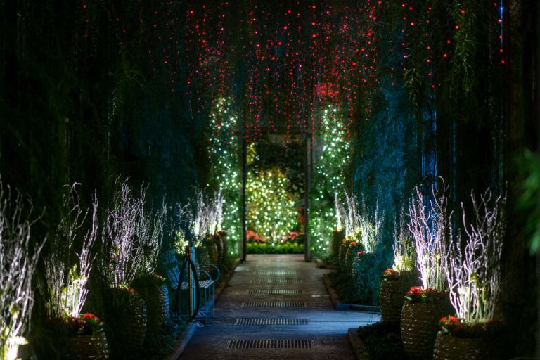 A Longwood Christmas Cheer is Here | Longwood Gardens