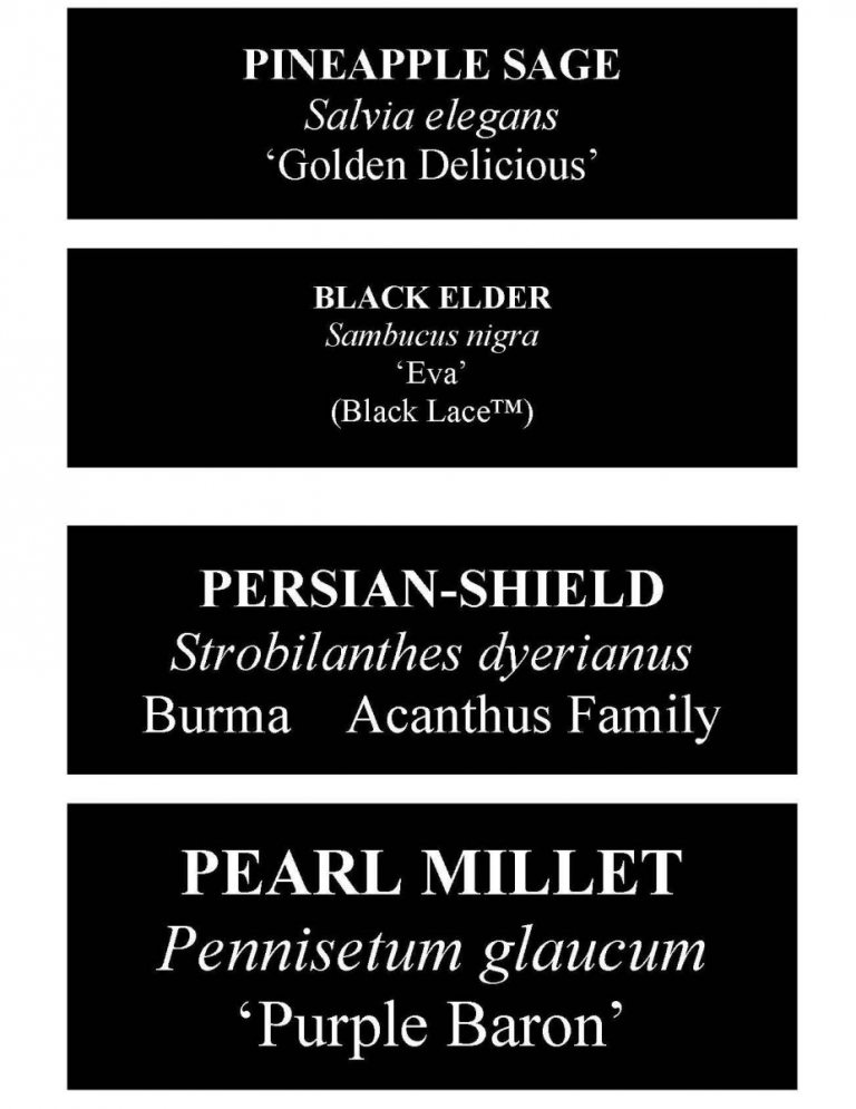 Understanding Our Plant Labels | Longwood Gardens