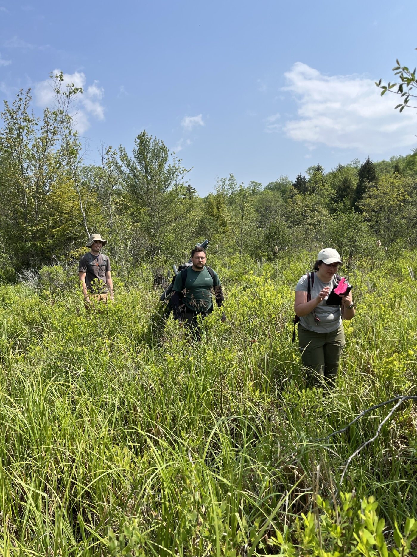 Reaching for New Heights in Rare Species Conservation | Longwood Gardens
