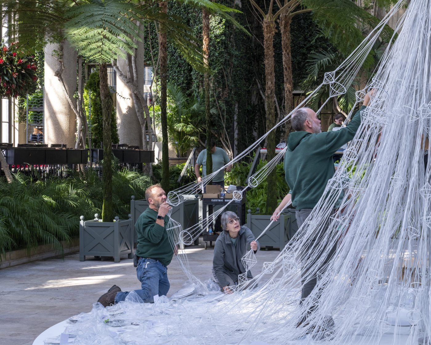 A Translucent Tree, A Work of Art | Longwood Gardens