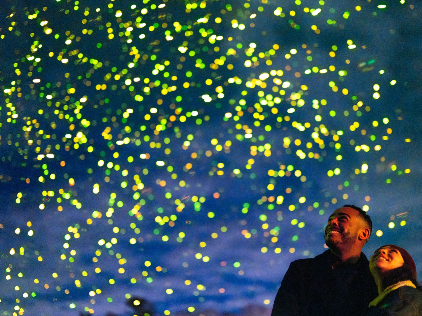 Where Light Takes Flight: The Vision Behind SPARK | Longwood Gardens