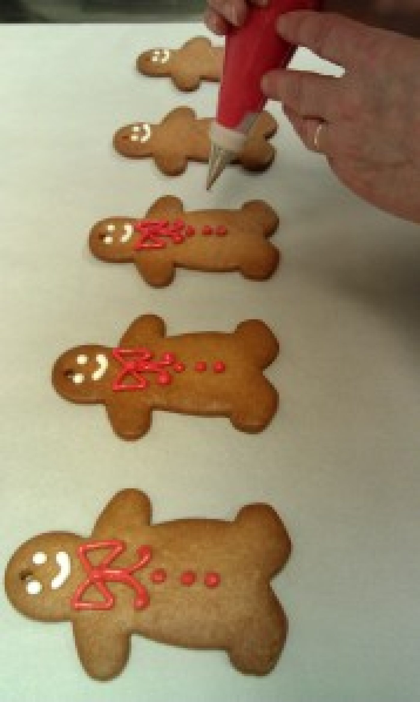 How to Make Gingerbread Ornaments at Home | Longwood Gardens