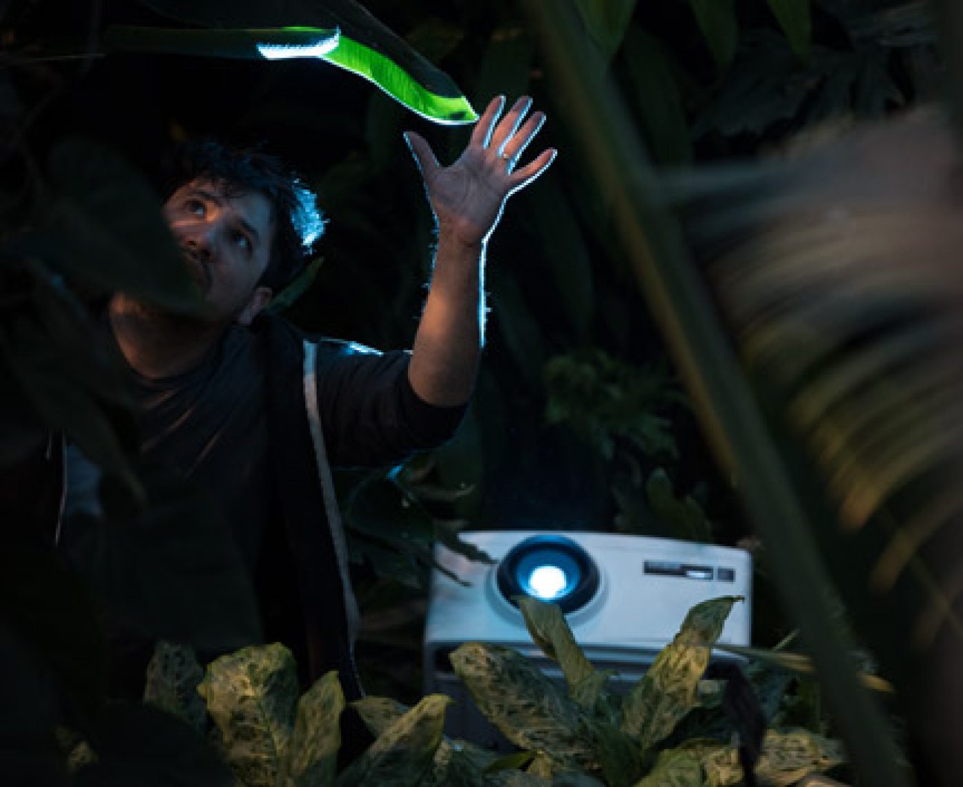 Nightscape Director's Statement | Longwood Gardens