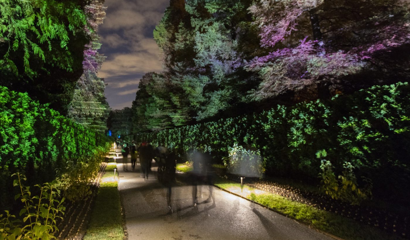 Creating Immersive Realities and Virtual Experiences | Longwood Gardens