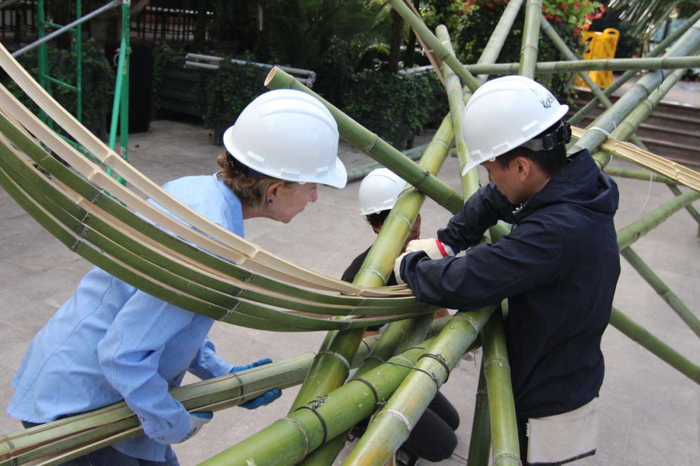 The Making of Blooms & Bamboo | Longwood Gardens