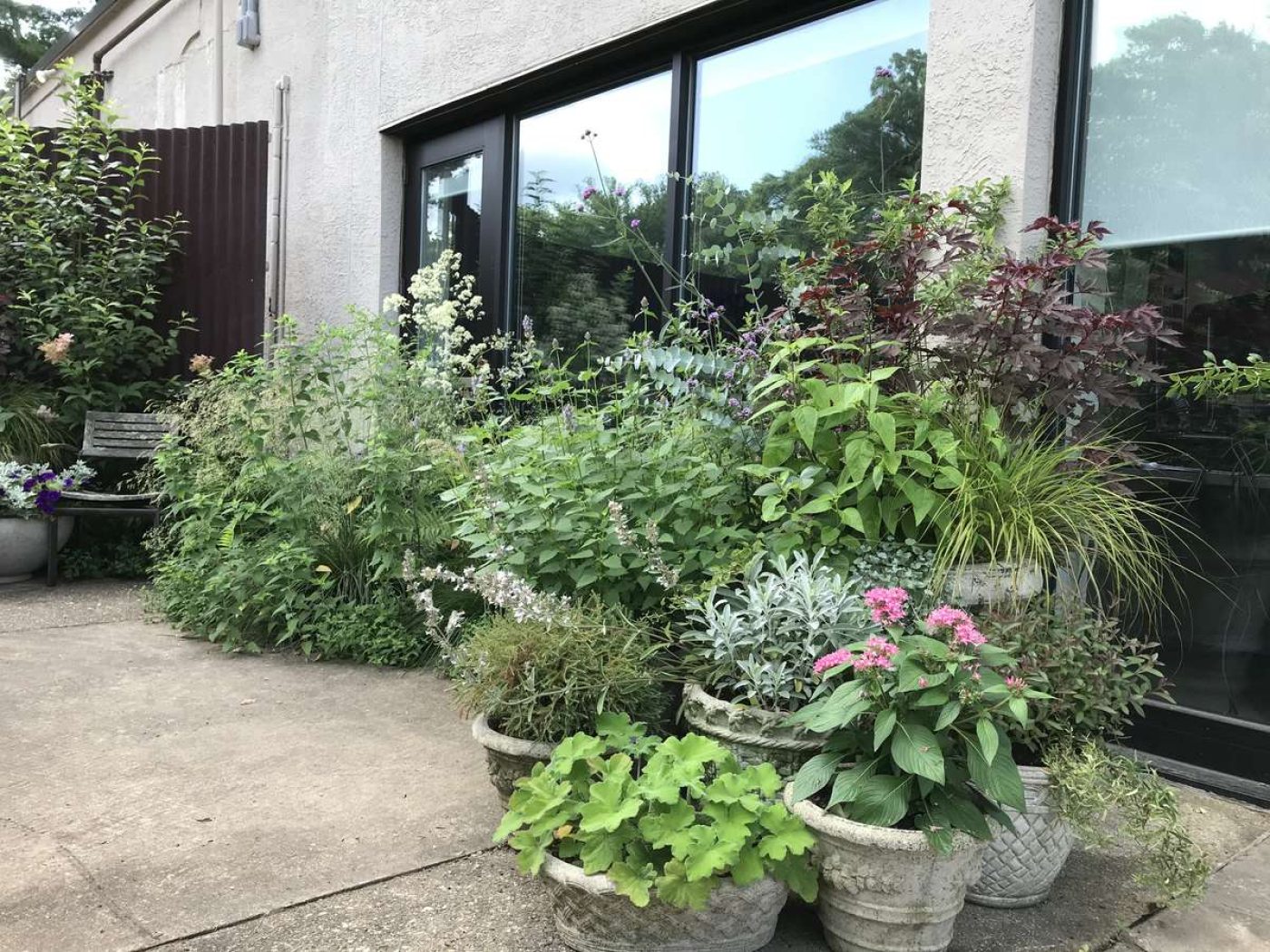 Lessons from the Studio Garden | Longwood Gardens