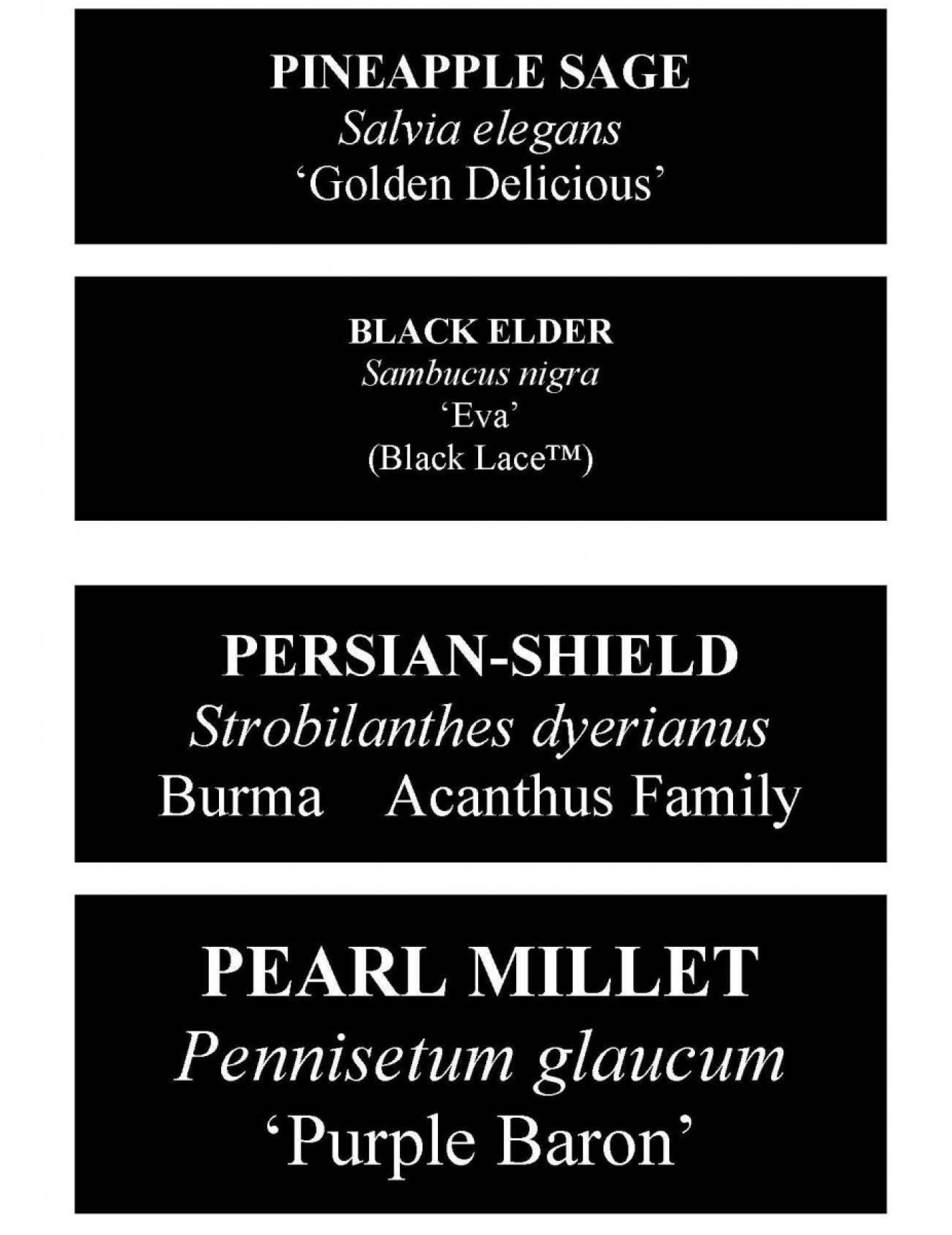 Understanding Our Plant Labels | Longwood Gardens