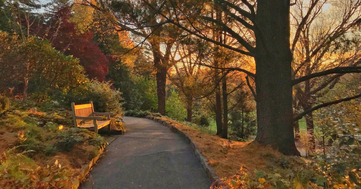 Hillside Garden | Longwood Gardens