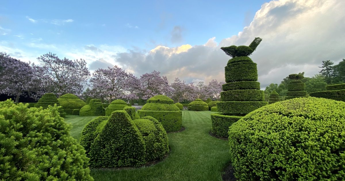 A Labor of Love: The Topiary Garden | Longwood Gardens