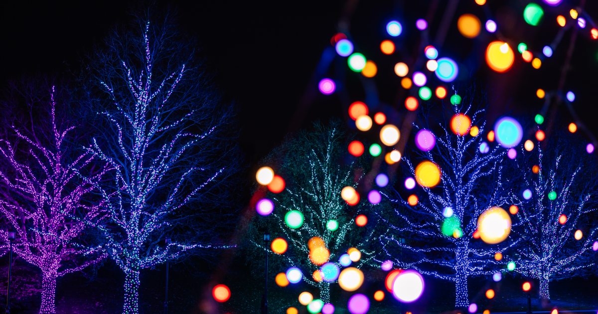 The Art Behind the Lights | Longwood Gardens
