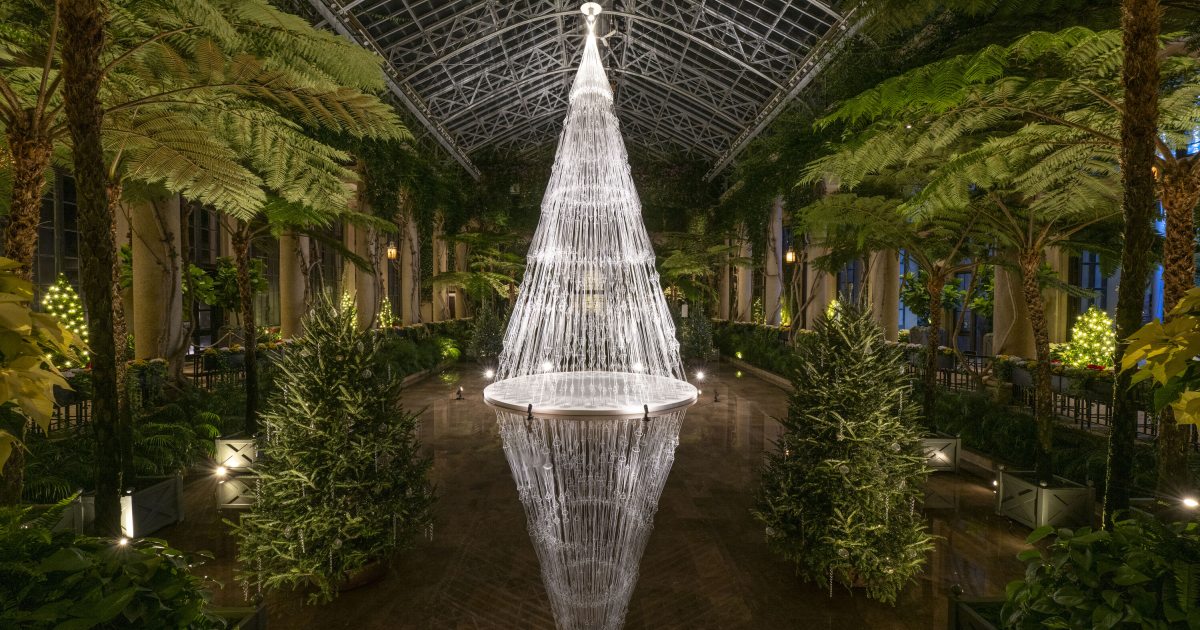 A Translucent Tree, A Work of Art | Longwood Gardens