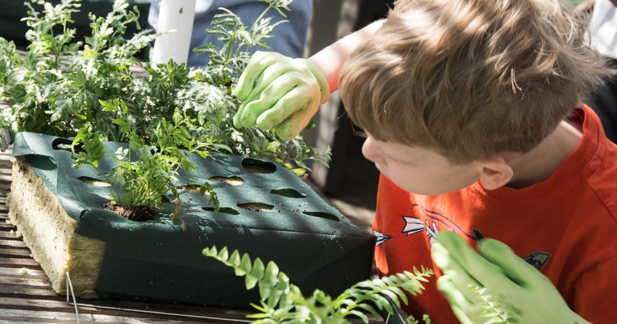 Family Workshop: Jump Start Your Garden | Longwood Gardens