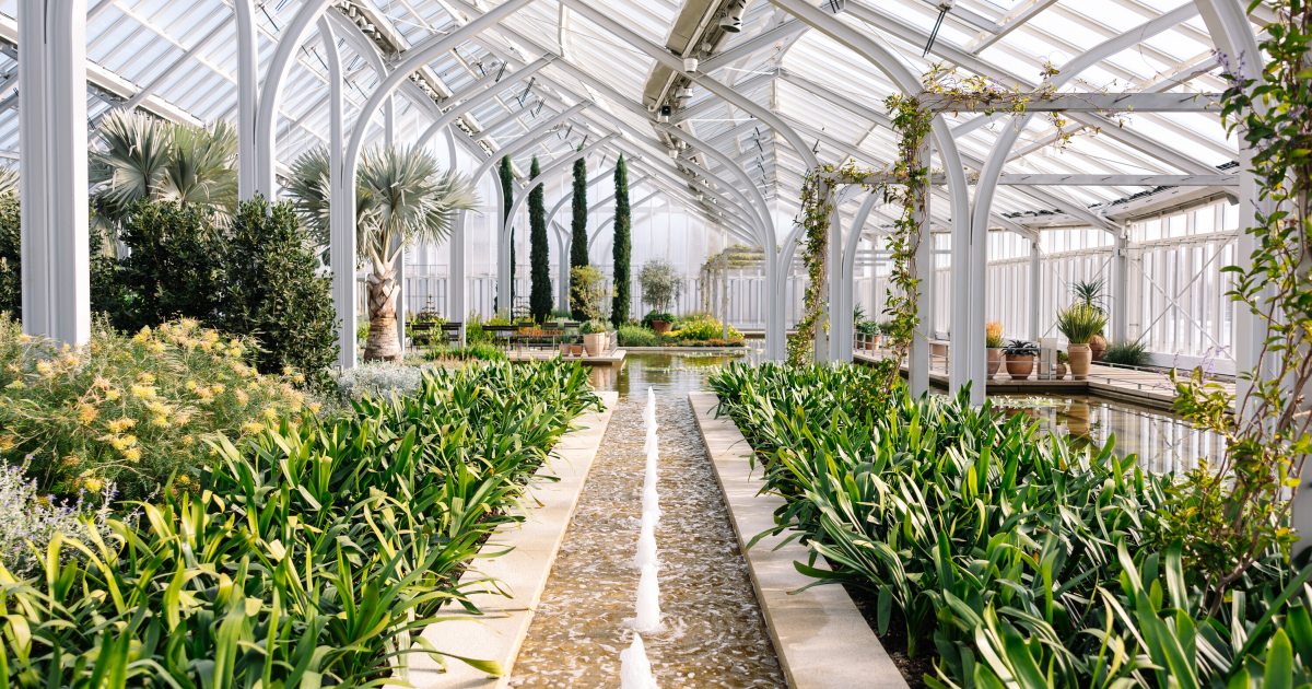 High Tech Meets Happy Plants: Our West Conservatory | Longwood Gardens