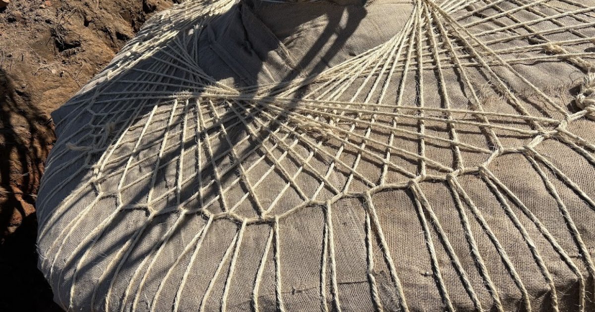 A Nursery, A Lifeline | Longwood Gardens