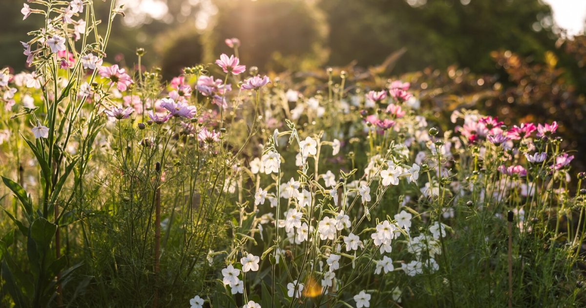 The Flower Farmers Author Event and Book Signing | Longwood Gardens