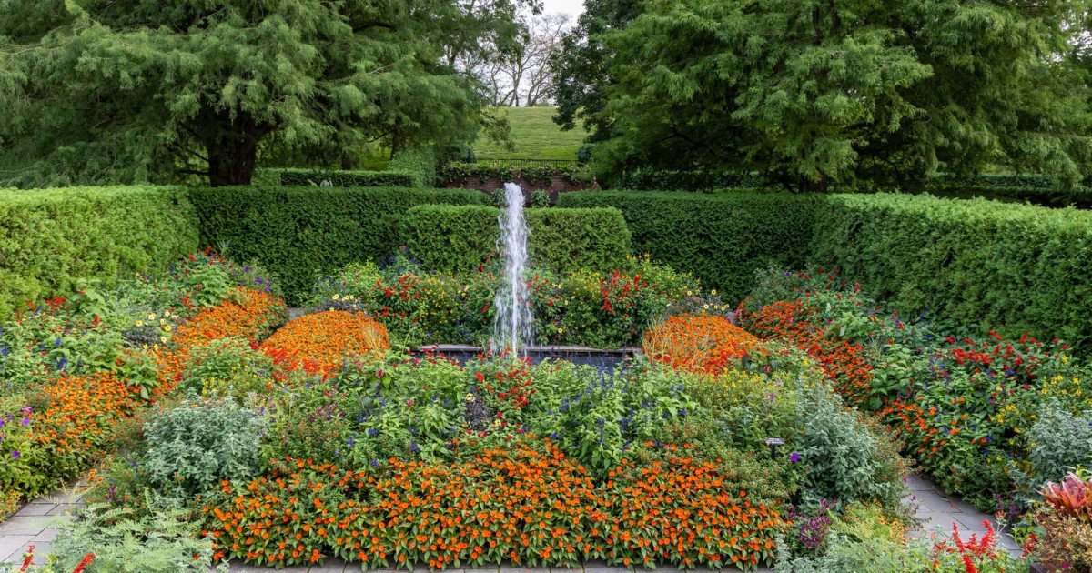 Introduction to Hedges | Longwood Gardens