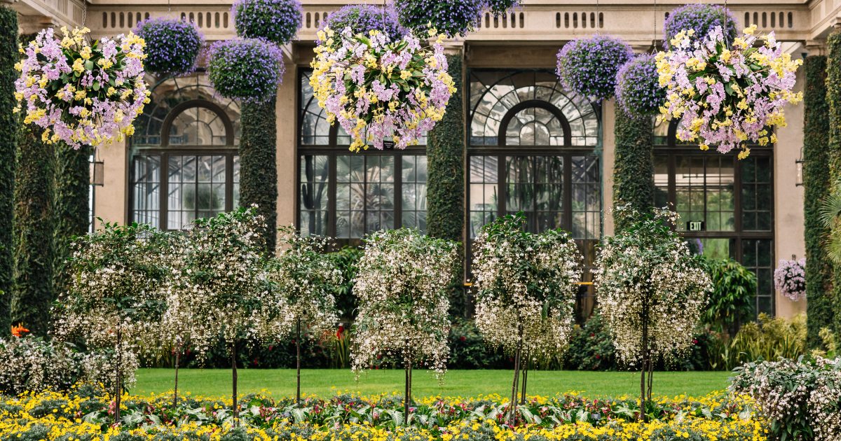 Floriculture Production | Longwood Gardens