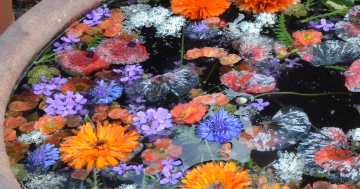 Floral Design with Floating Flowers | Longwood Gardens