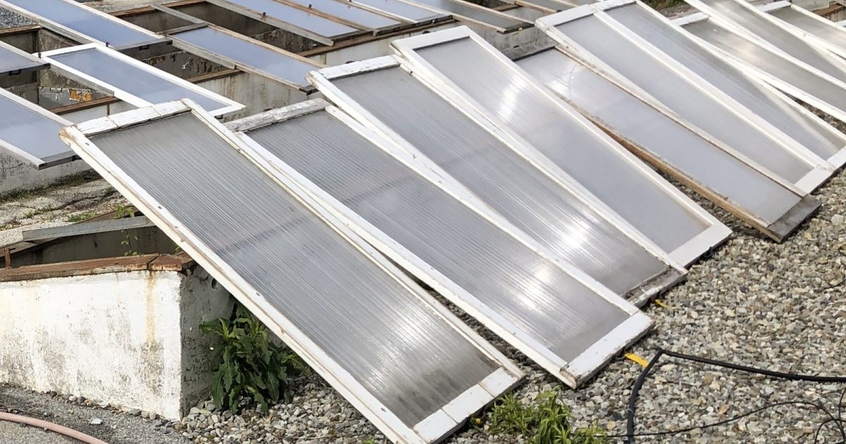 Building and Using a Cold Frame | Longwood Gardens