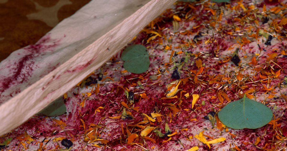 Natural Bundle Dyeing With Flowers and Kitchen Dyes | Longwood Gardens